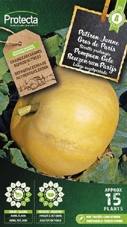 Potiron Jaune Gros de Paris ( Protecta A ) | Central Jardin